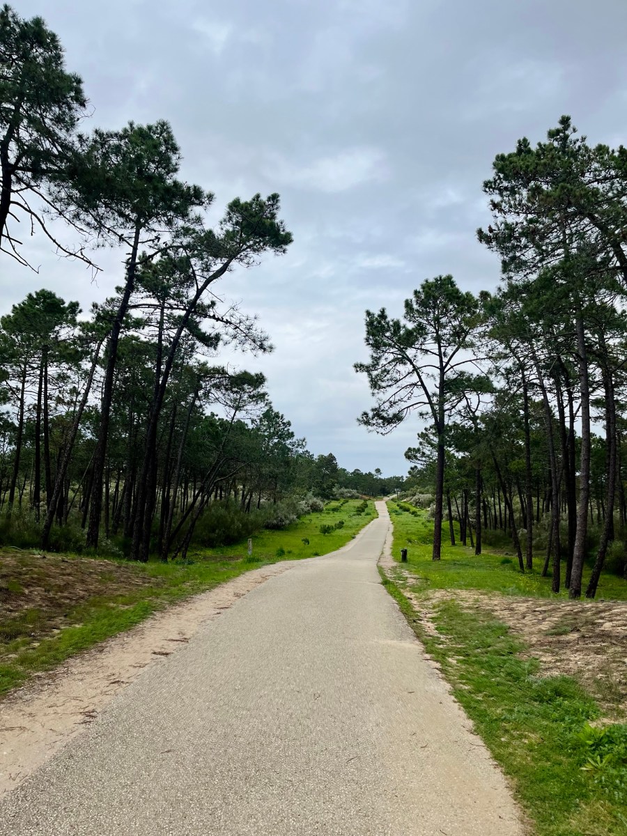 Nourish, Train & Flourish – Tough times don't last. Tough people do.